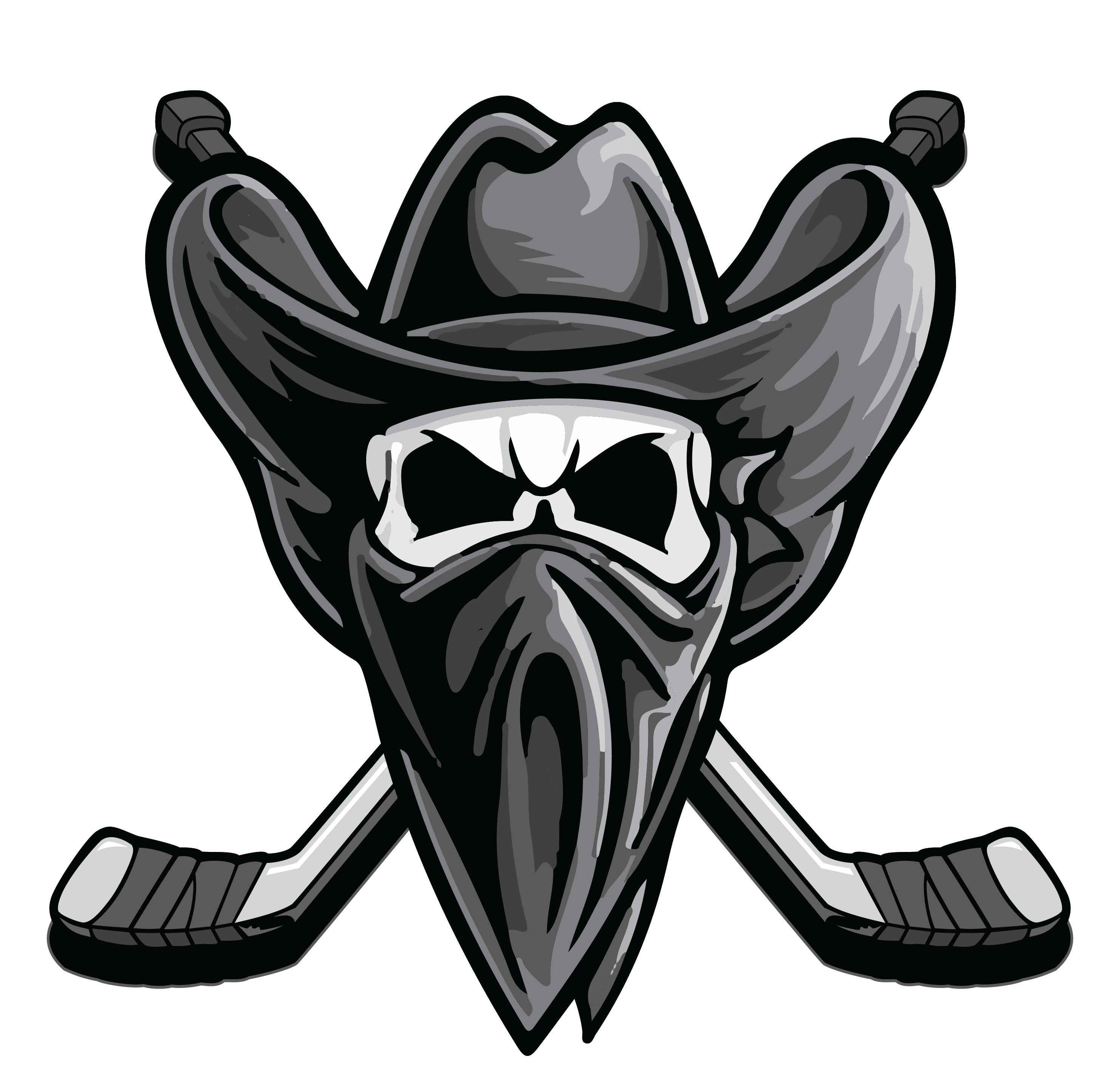 Premier Hockey League : Website by RAMP InterActive